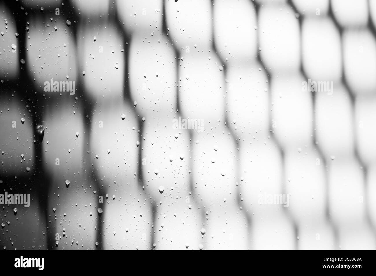 Catamaran white background Black and White Stock Photos & Images - Alamy