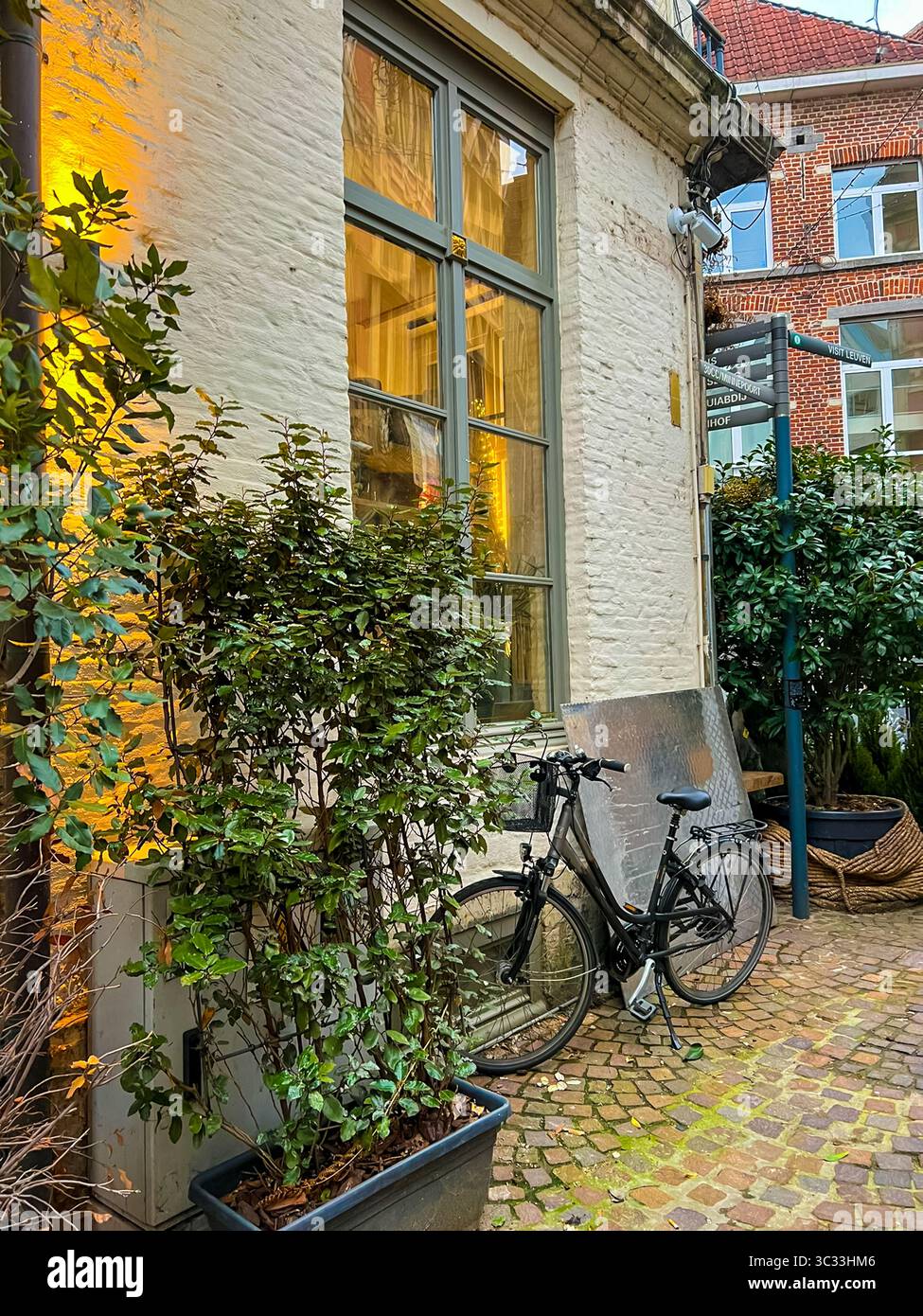 Charming small modern art gallery exuding cozy aesthetics in Leuven ...