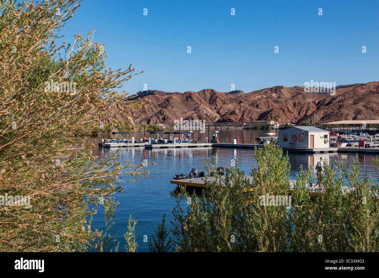 Willow Beach Marina, Arizona, USA - 8 June 2025: Serene lakeside setting features boats docked ...