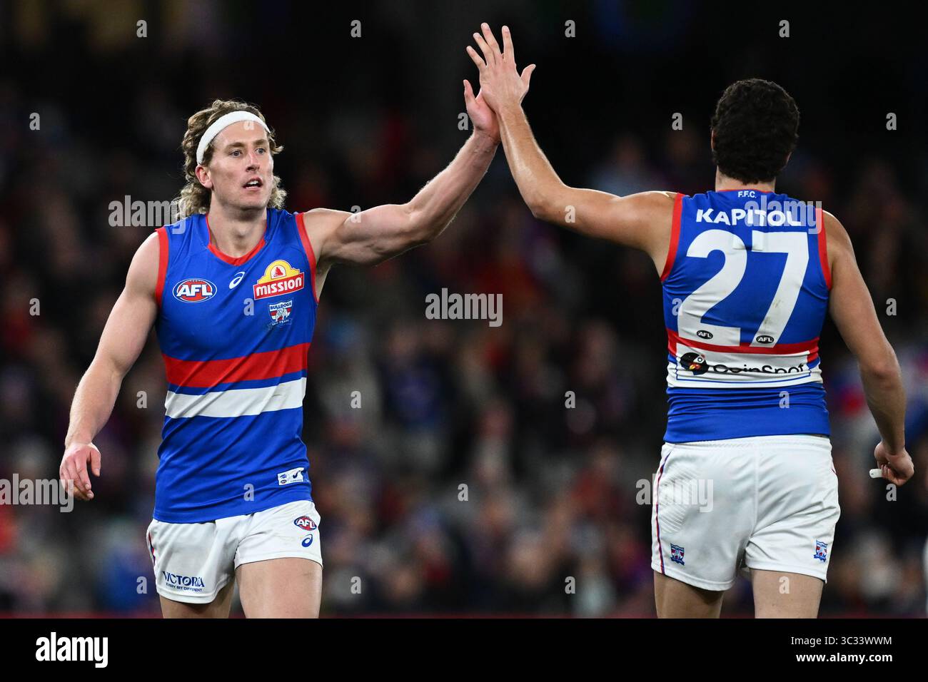 Aaron Naughton of Western Bulldogs celebrates scoring a goal during the ...