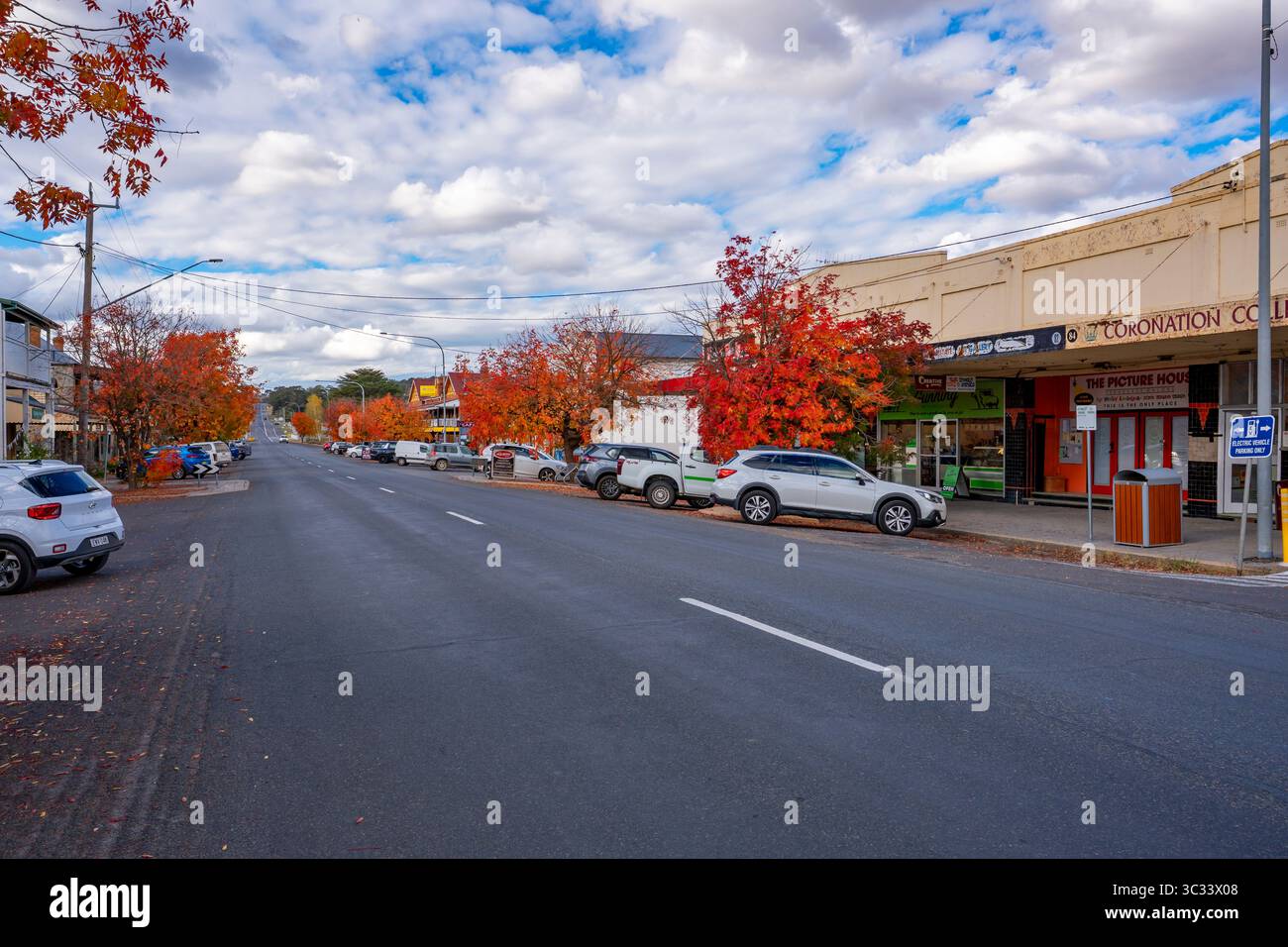 Mature street trees, diagonally parked cars and two lanes of traffic in ...