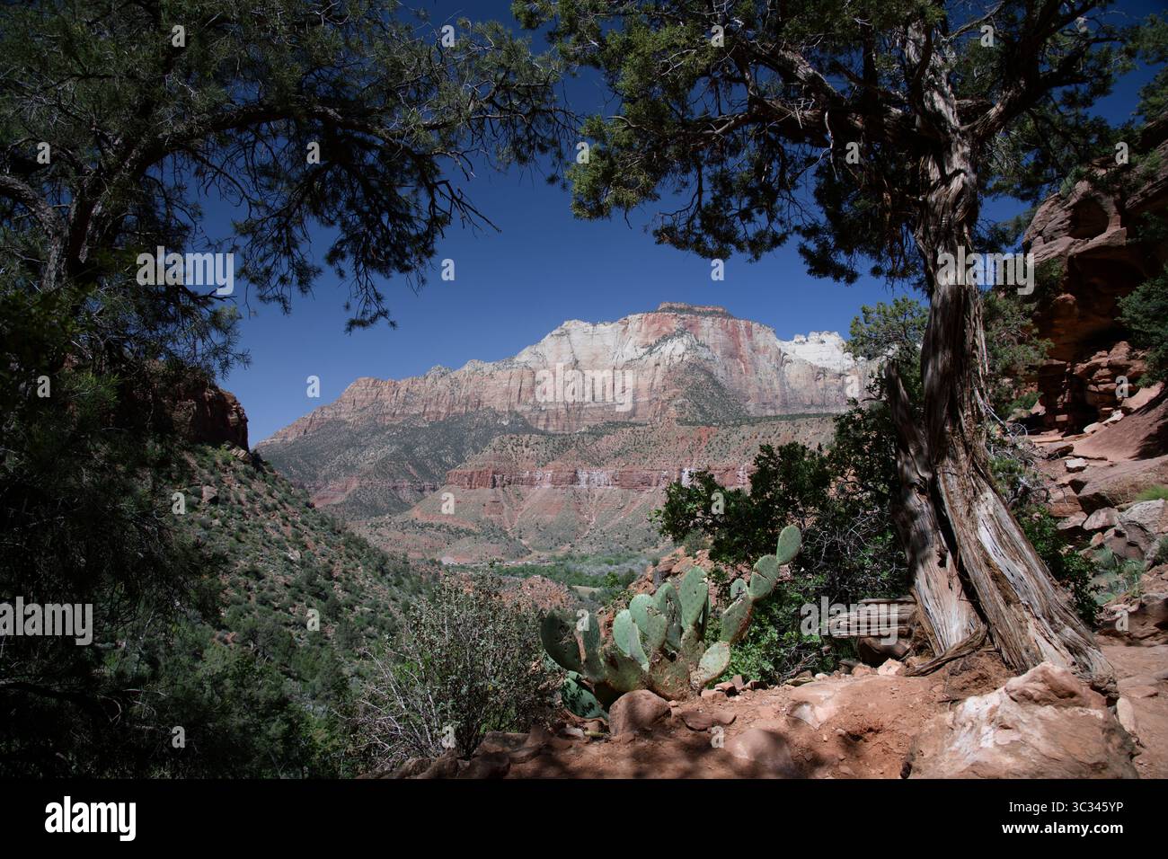 Utah National Parks Stock Photo - Alamy