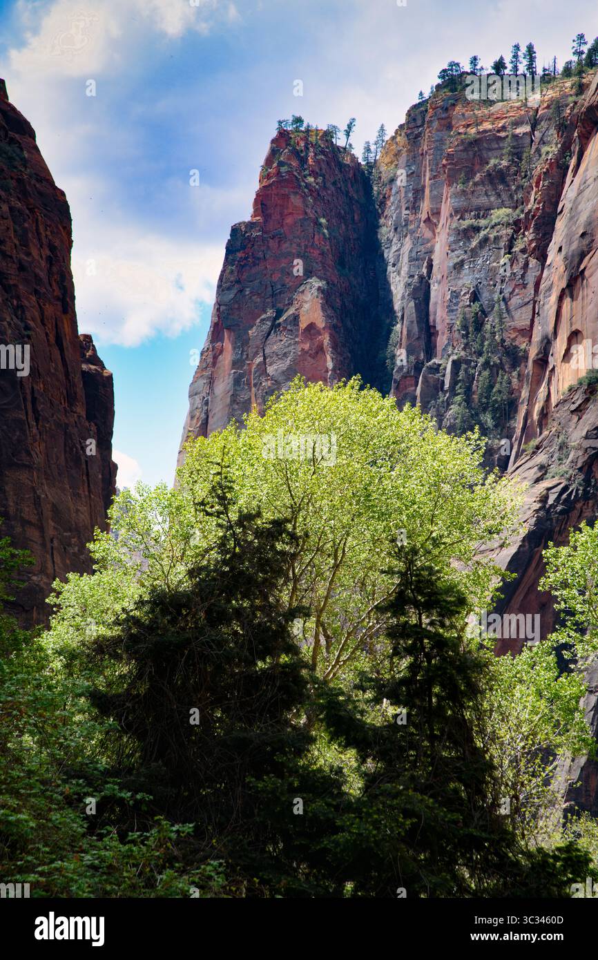Utah National Parks Stock Photo - Alamy