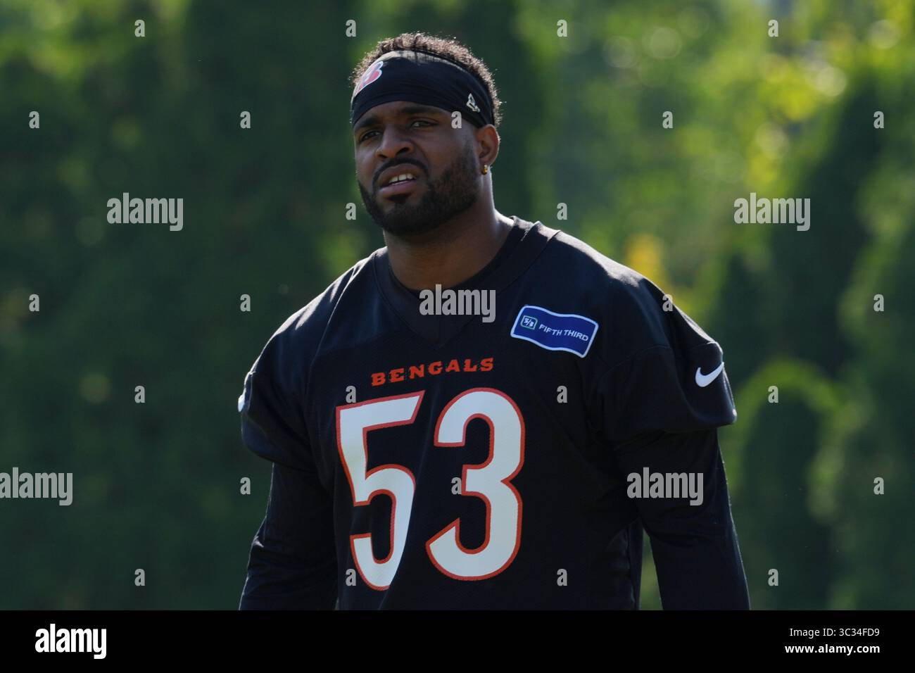 Cincinnati Bengals linebacker Joe Giles-Harris (53) looks on during ...