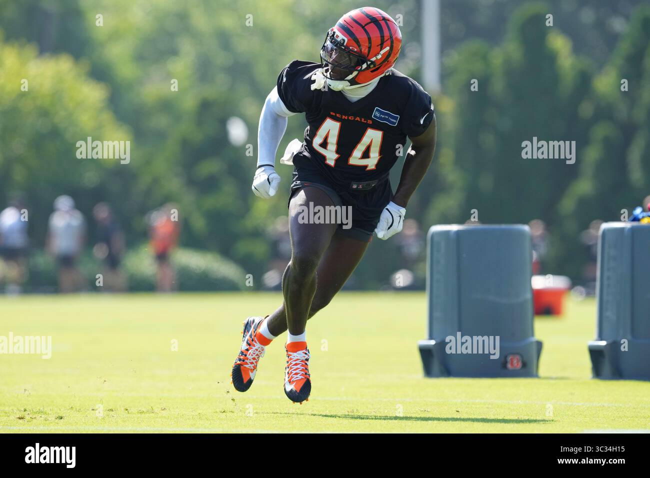 Cincinnati Bengals linebacker Demetrius Knight Jr. (44) performs a ...