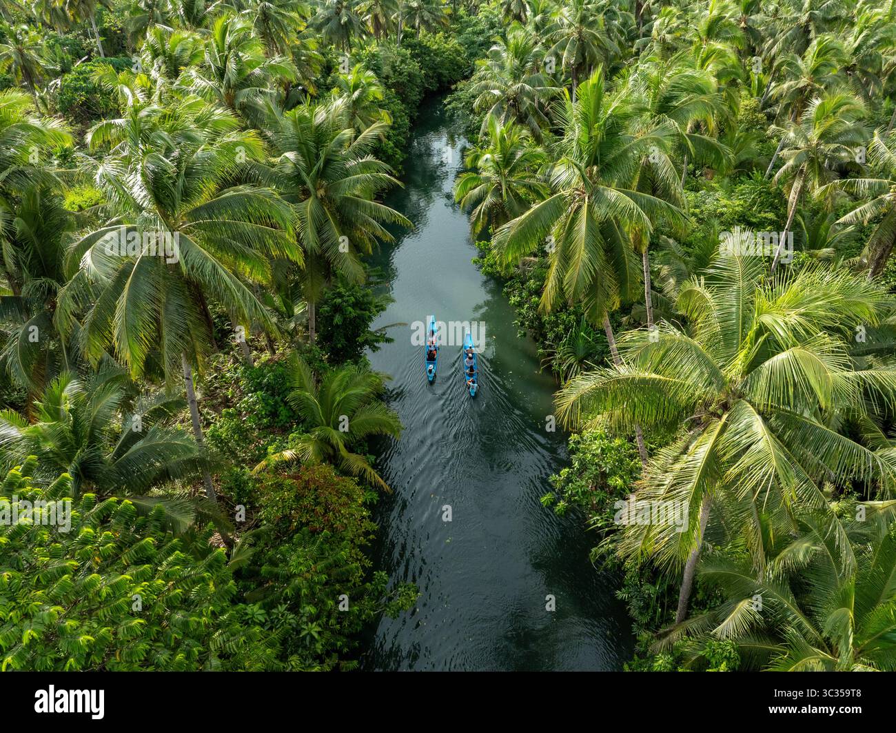 Aerial view of a serene river winding through a dense jungle canopy ...