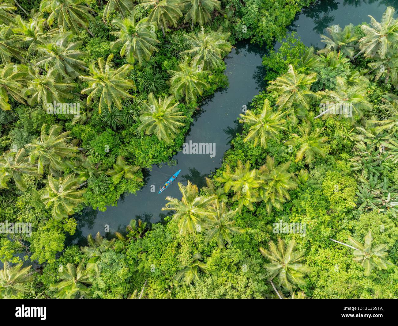 Aerial view of a lone boat glides through the dark waters of a lush ...