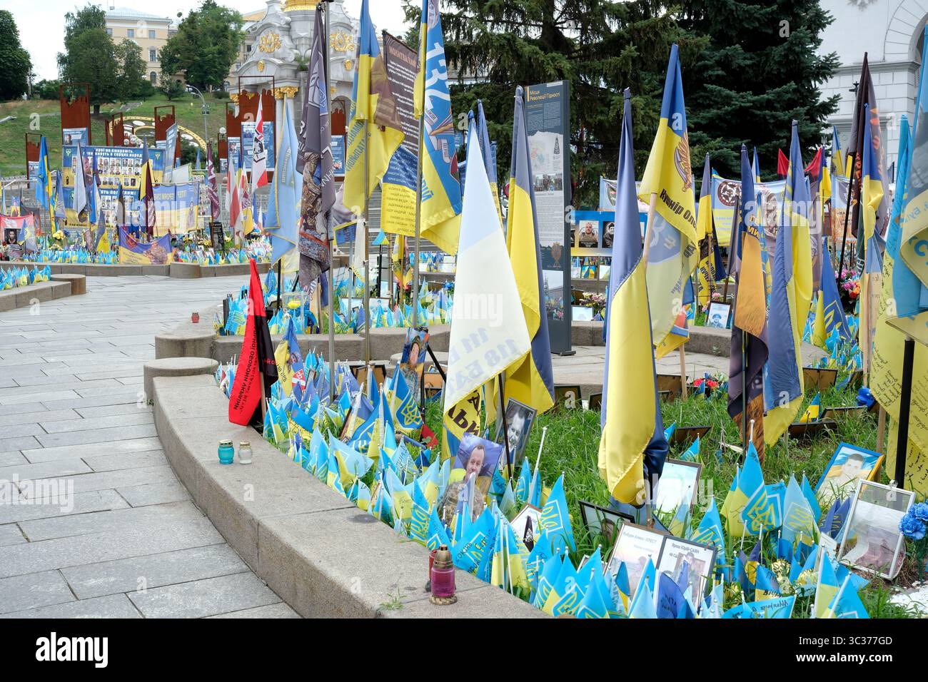 Flags and portraits adorn a memorial for brave Ukrainian soldiers in ...