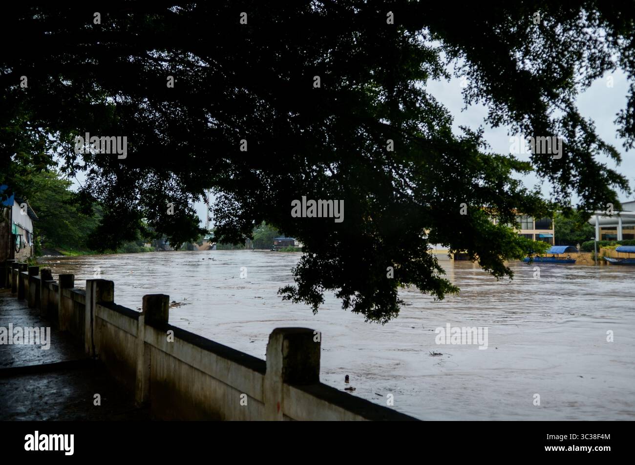 The swollen Moei River overflows its banks in Mae Sot, its muddy ...