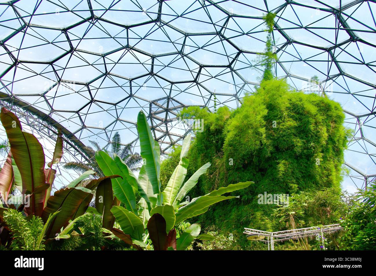 View across the largest indoor rainforest in the world inside the biome ...