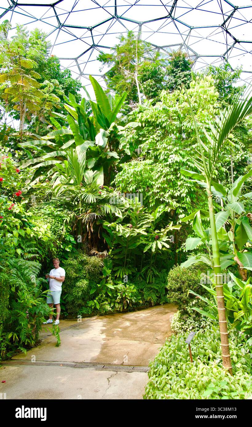 View of the largest indoor rainforest in the world inside the biome The ...