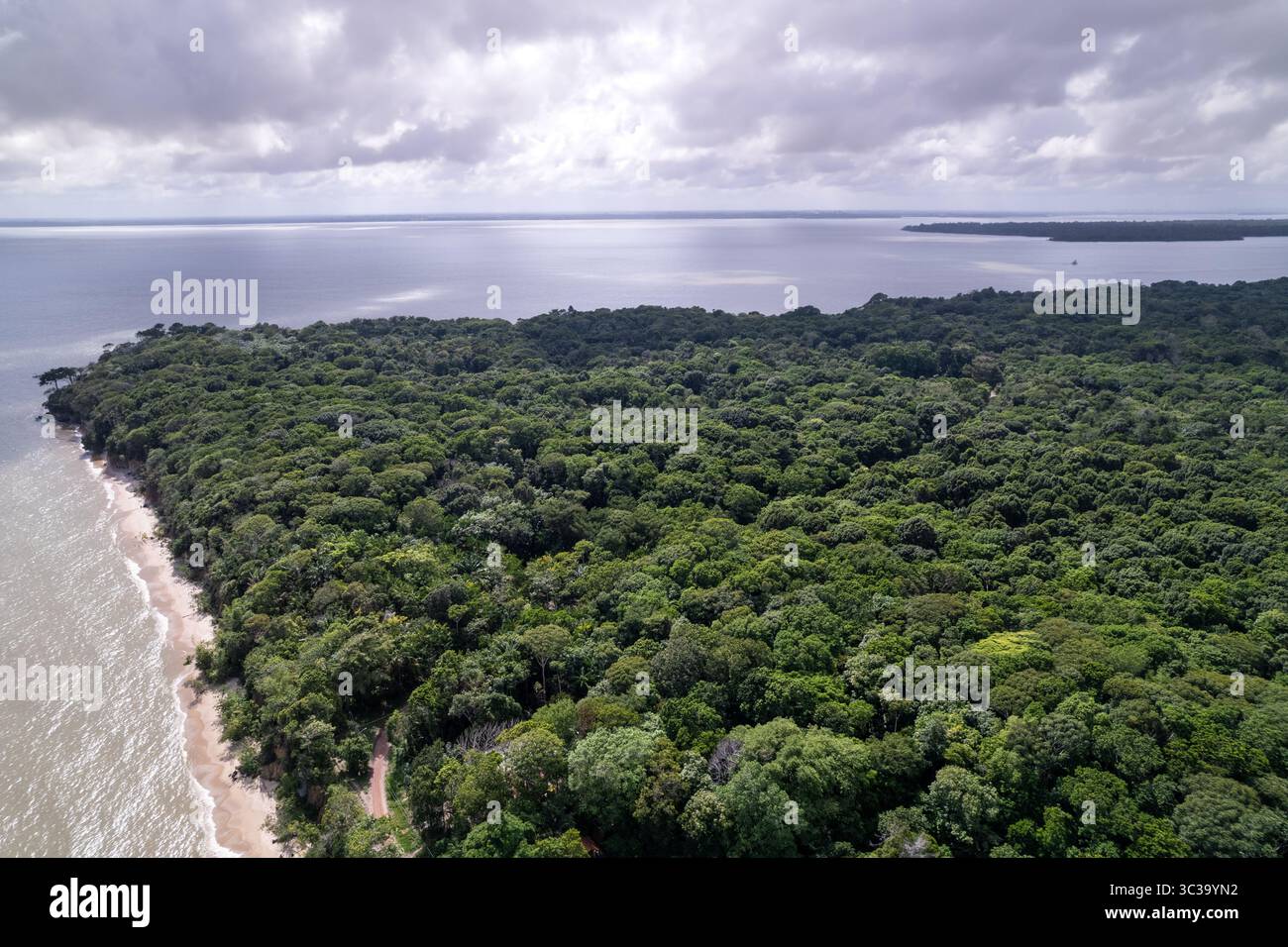 Amazon rainforest from area hi-res stock photography and images - Alamy