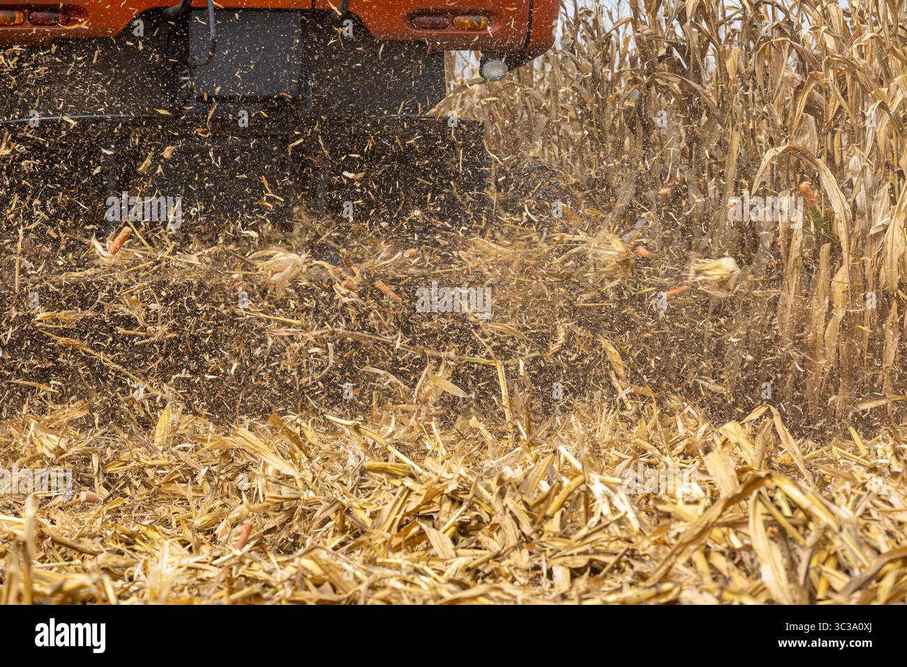 Combine harvester chaff spreader with corn residue being discharged in ...
