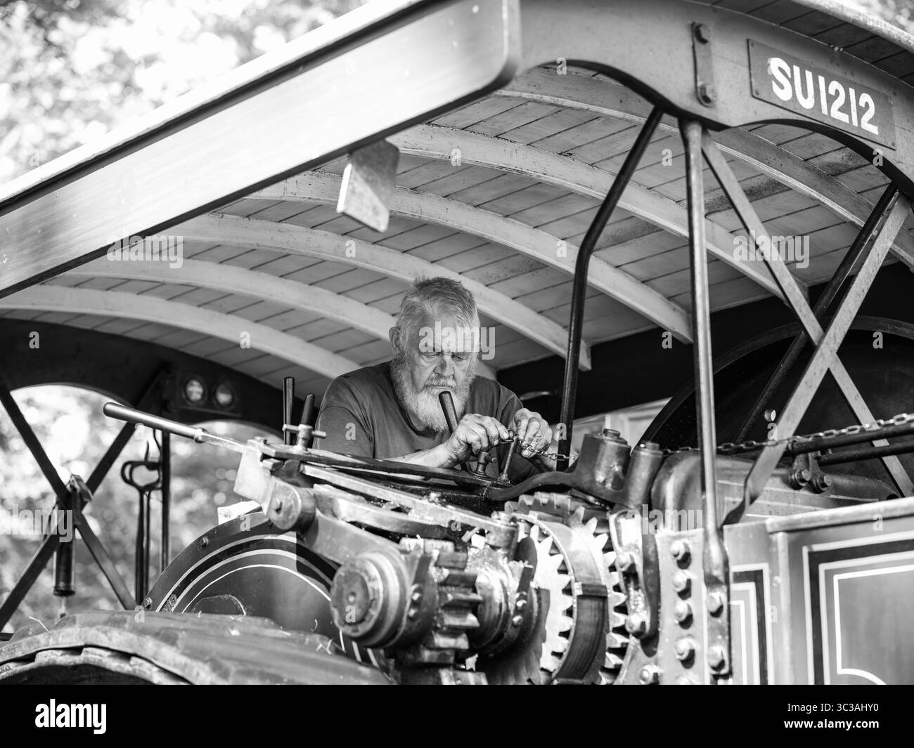 BOCONNOC STEAM FAIR 25TH JULY 2025 Stock Photo - Alamy