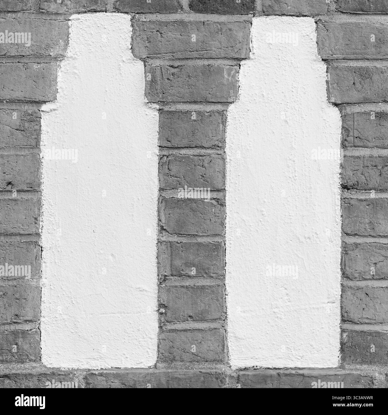 A close-up architectural shot showing two vertically elongated plaster ...