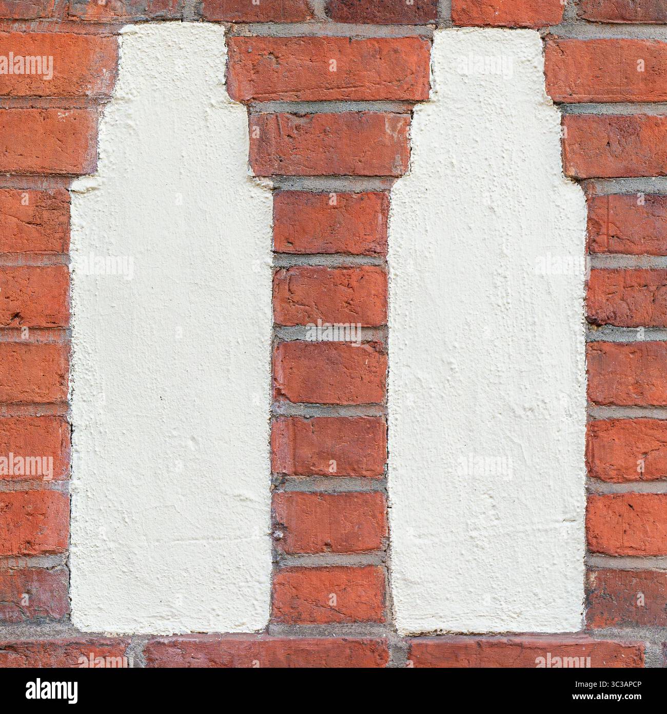 A close-up architectural shot showing two vertically elongated plaster ...
