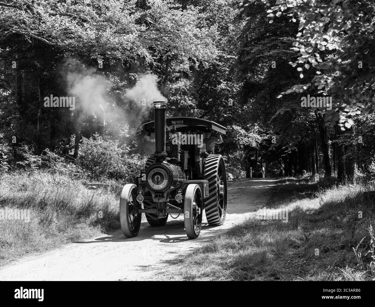 BOCONNOC STEAM FAIR 25TH JULY 2025 Stock Photo - Alamy