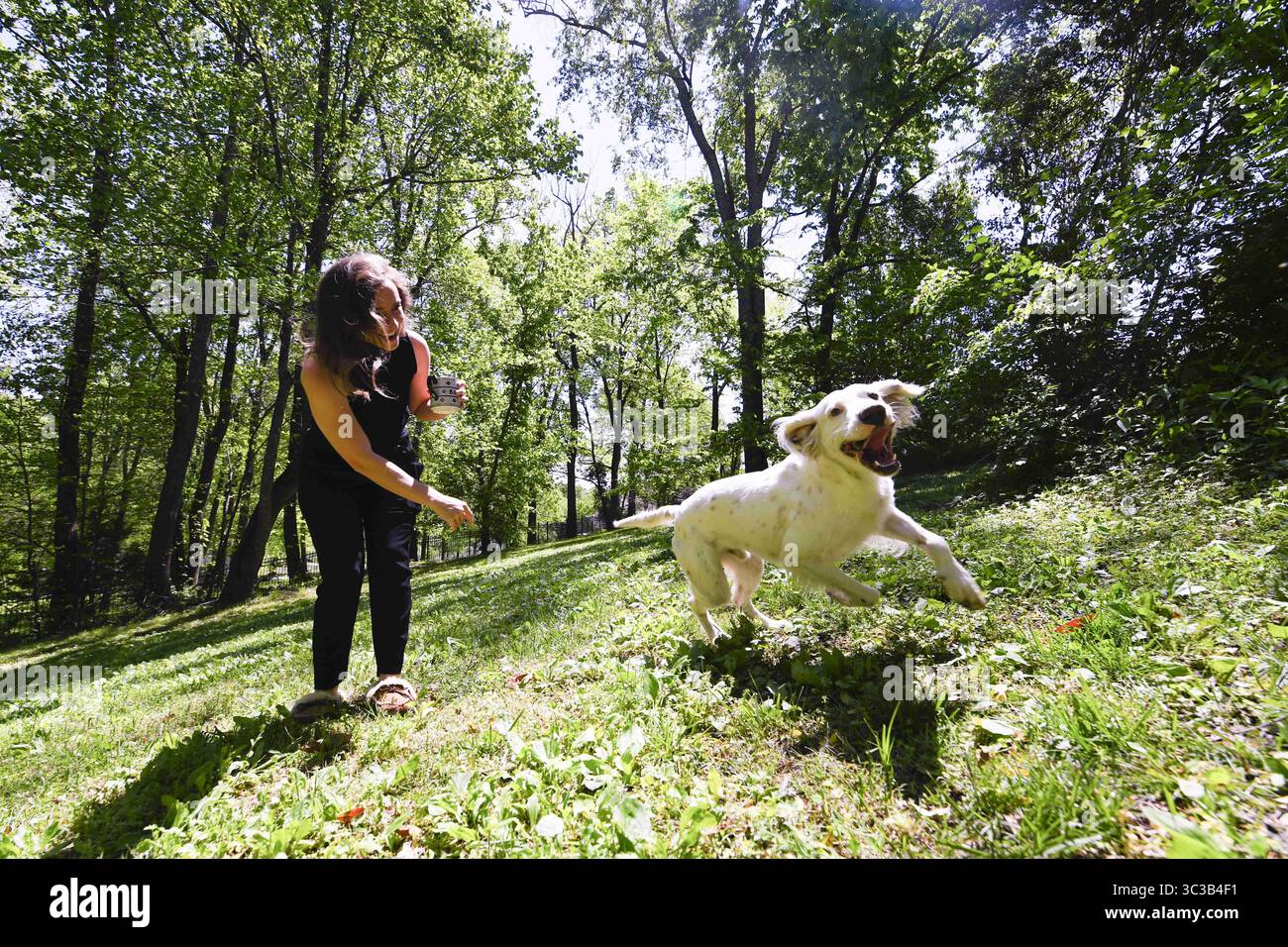 Tener un trabajo hi-res stock photography and images - Alamy