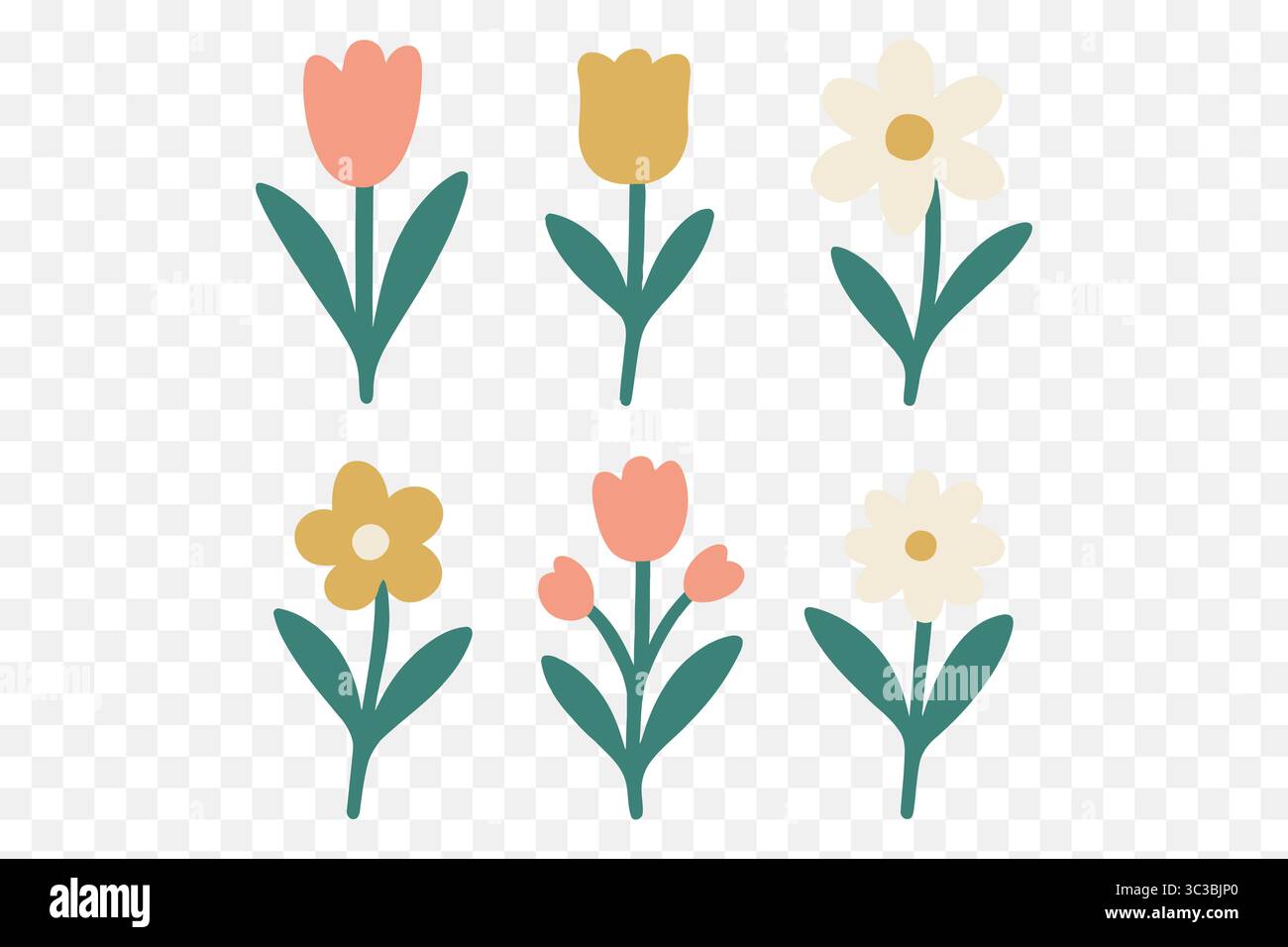 Floral Frame & Label Clipart Editable Flower Borders & Botanical Label ...