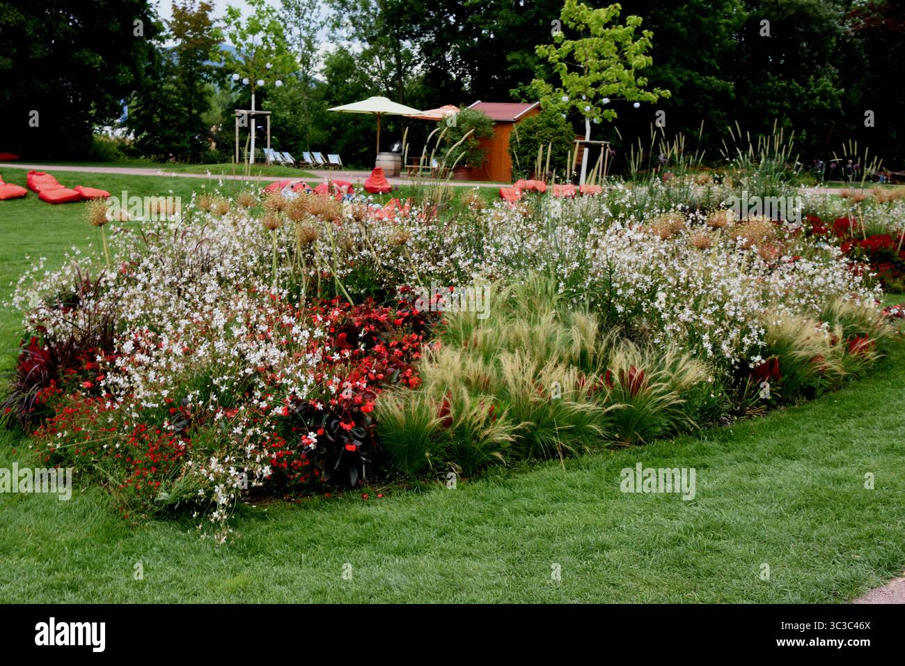 Furth im Wald 25.07.2025 Landesgartenschau-Praesentation Furth im Wald *** Furth im Wald 25 07 ...