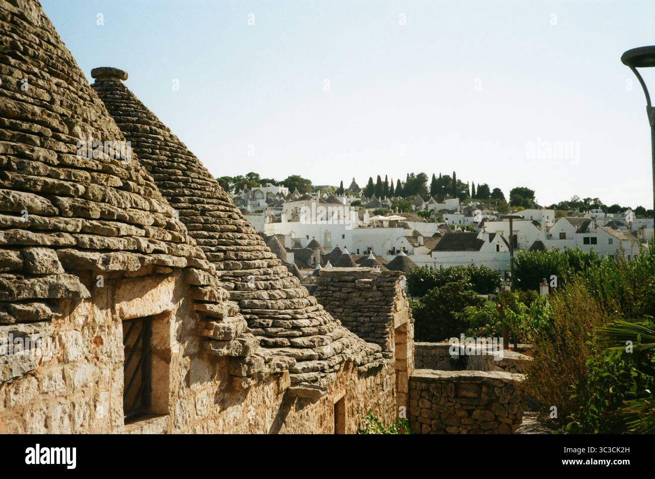 Traditional trulli houses with conical stone roofs in Alberobello ...