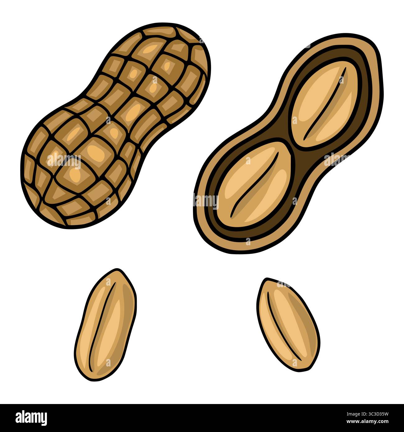 Groundnuts peanuts background Stock Vector Images - Alamy