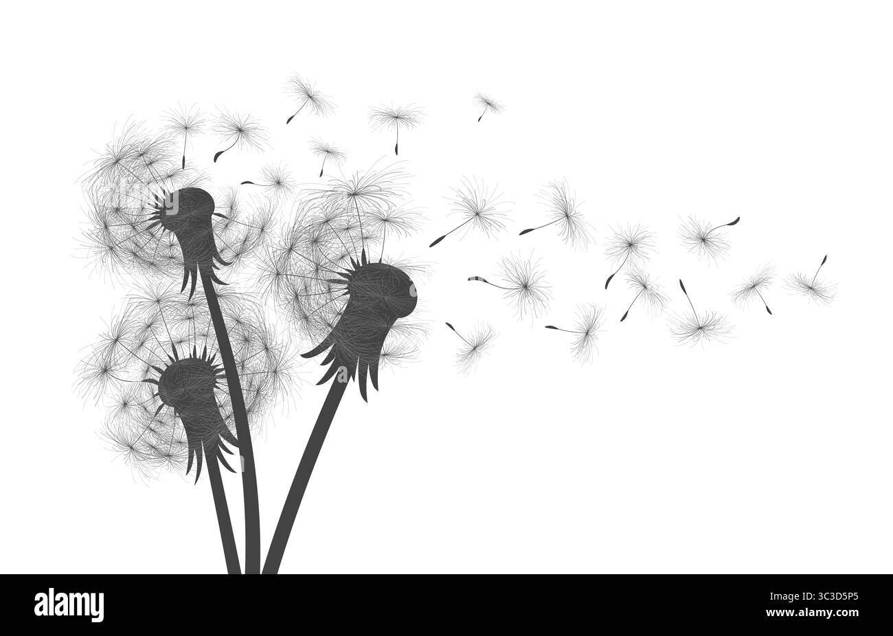 Dandelion field flower Stock Vector Images - Alamy