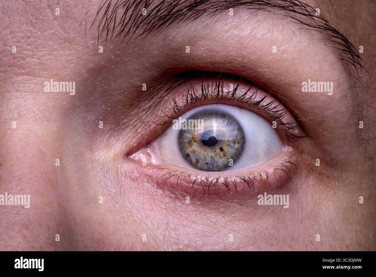 Detailed closeup capturing facial hi-res stock photography and images ...