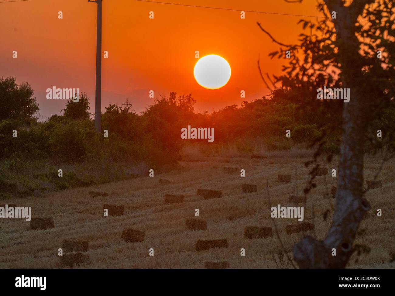 Strandja mountians Bulgaria 25th July 2025 Sunset into Blue ride with ...