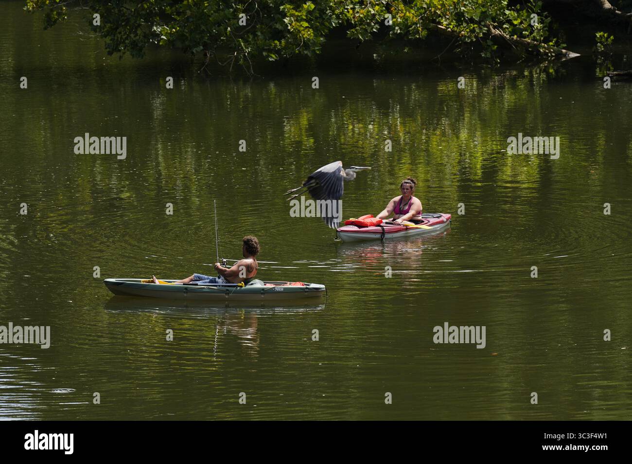 People kayak along the Stones River during a heat advisory as a Great ...