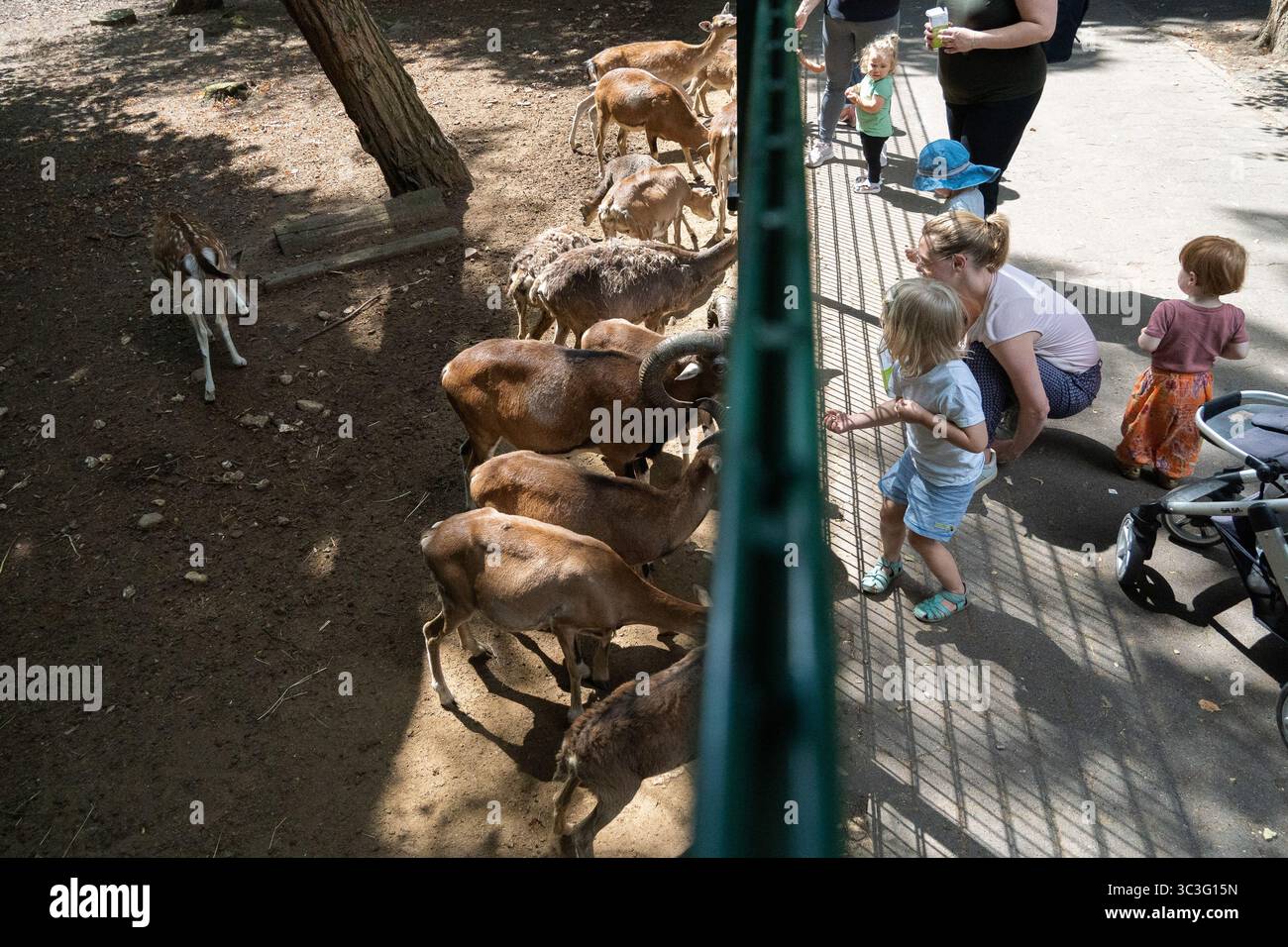 Gonsenheimwildlifepark hi-res stock photography and images - Alamy