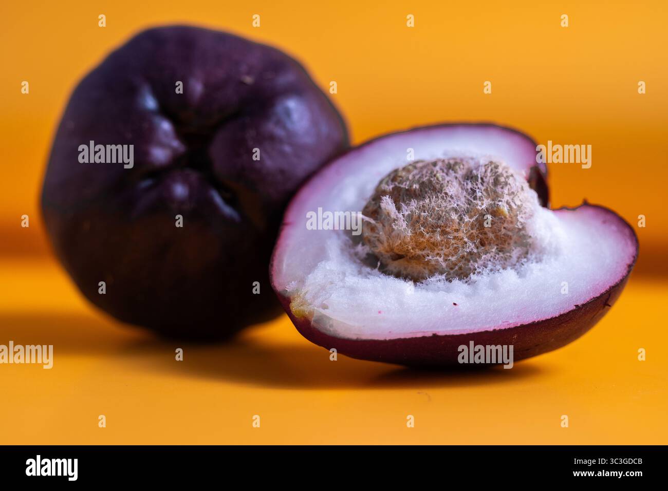 Jambu jamaika hi-res stock photography and images - Alamy