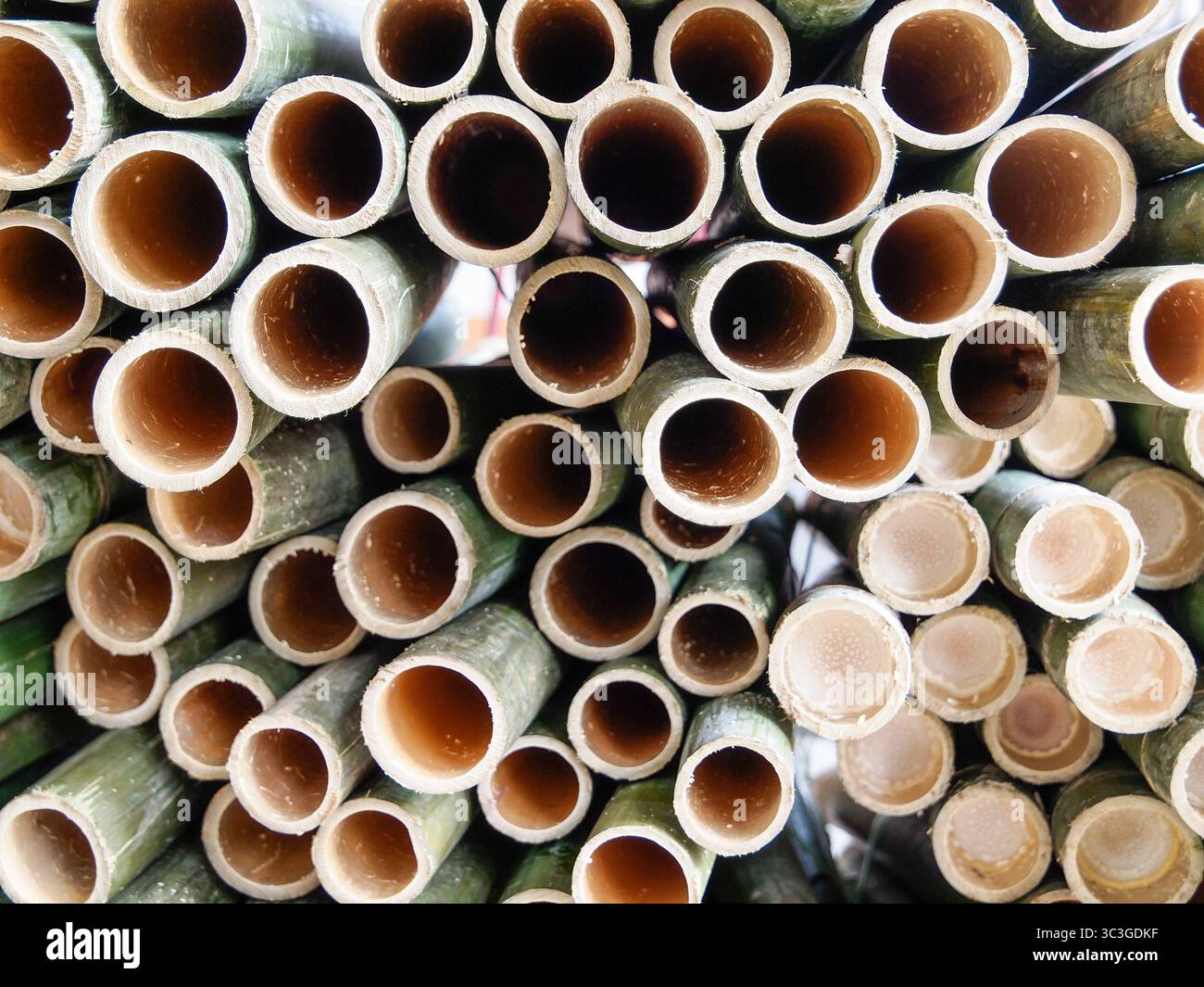 Bamboo tubes for making bamboo rice or sticky rice Stock Photo - Alamy