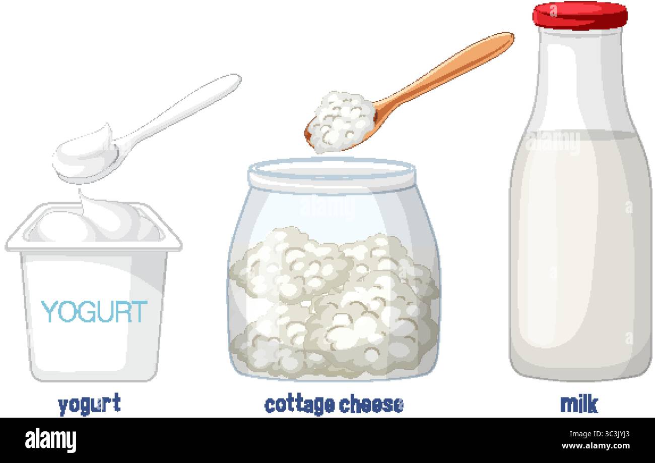 Vector illustration of yogurt, cottage cheese, and milk in containers ...
