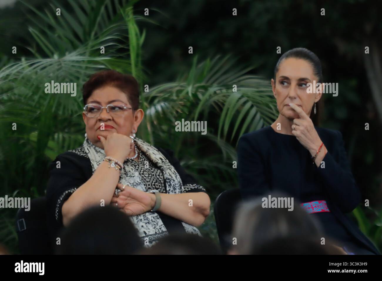 Mexico City, Mexico. 25th July, 2025. Legal Advisor to the Mexico ...