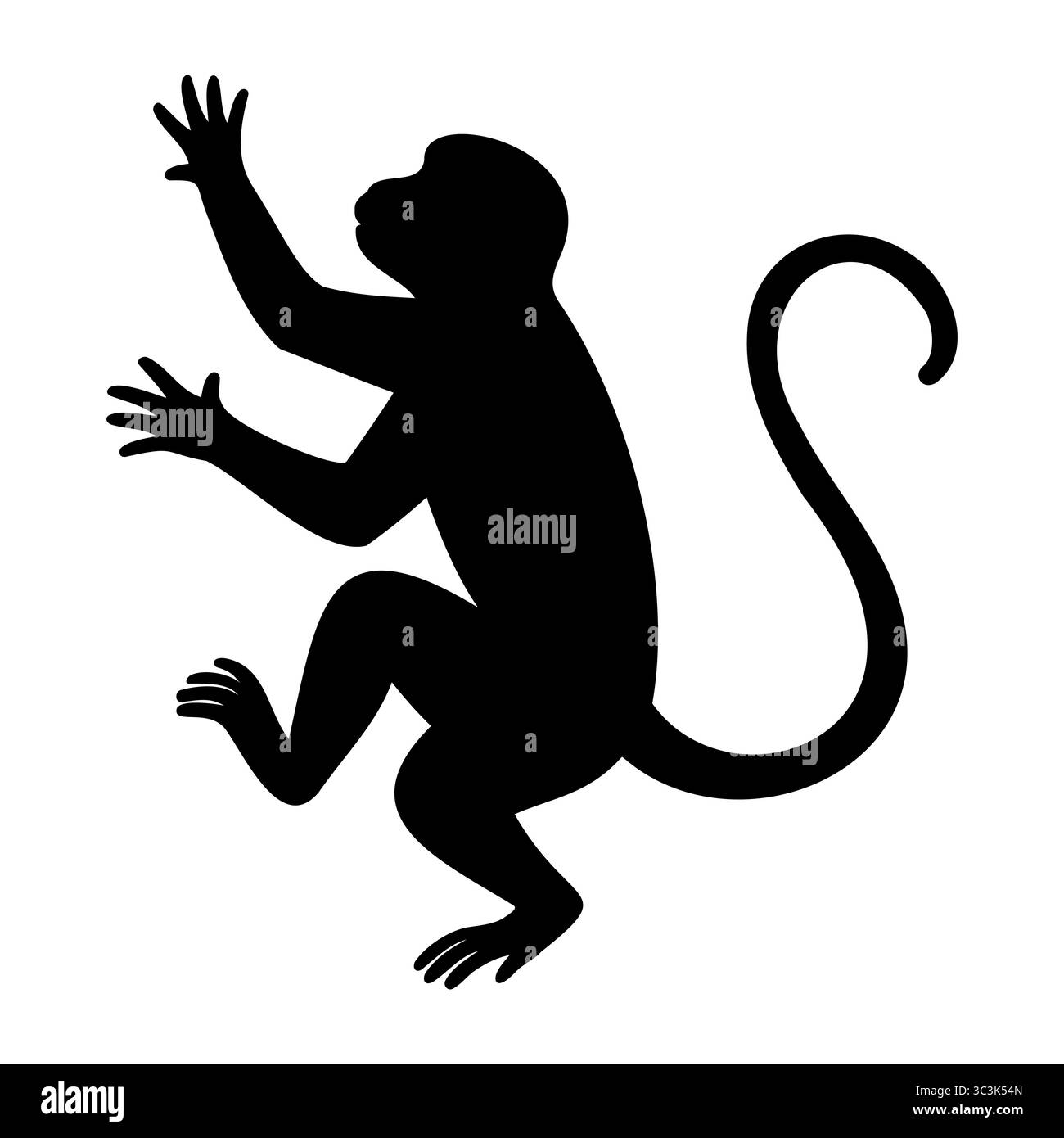 Climbing monkey Black and White Stock Photos & Images - Alamy