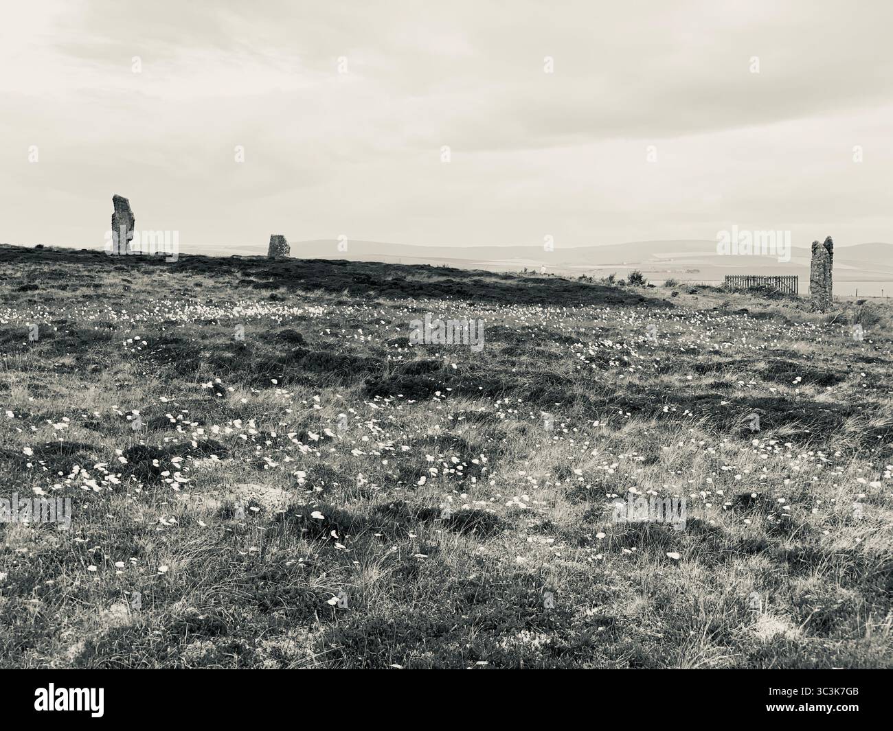 The Ring of Brodgar on the Orkneys Scotland Island Islands famous ...