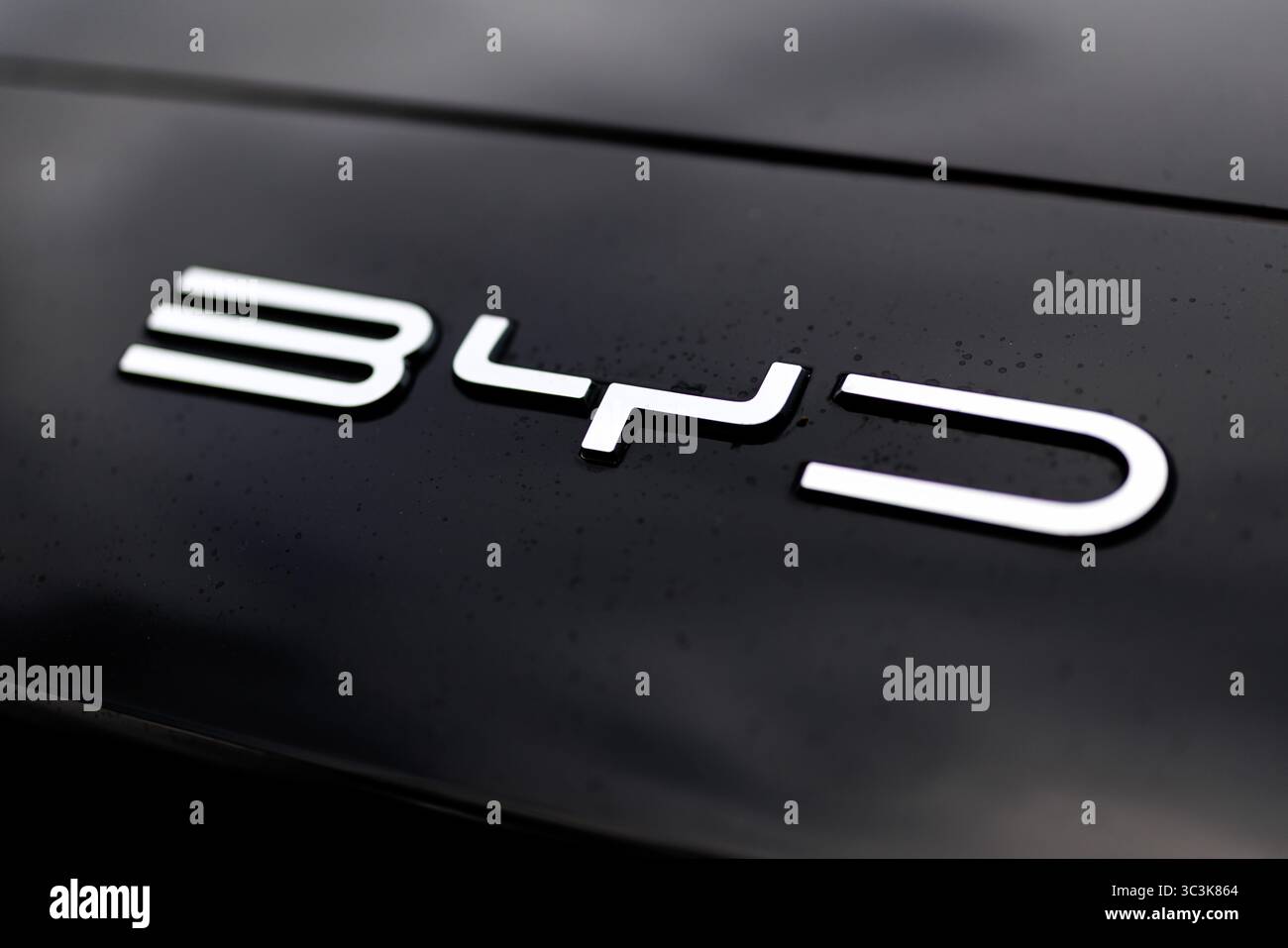 Forchheim, Germany. 25th July, 2025. The BYD brand logo can be seen on ...