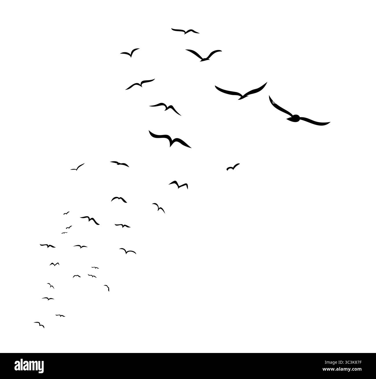 Sea weeds sea weeds Black and White Stock Photos & Images - Alamy