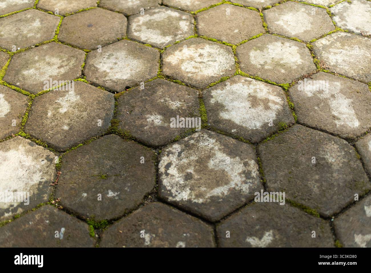 Hexagonal Stone Pavement with Moss Stock Photo - Alamy