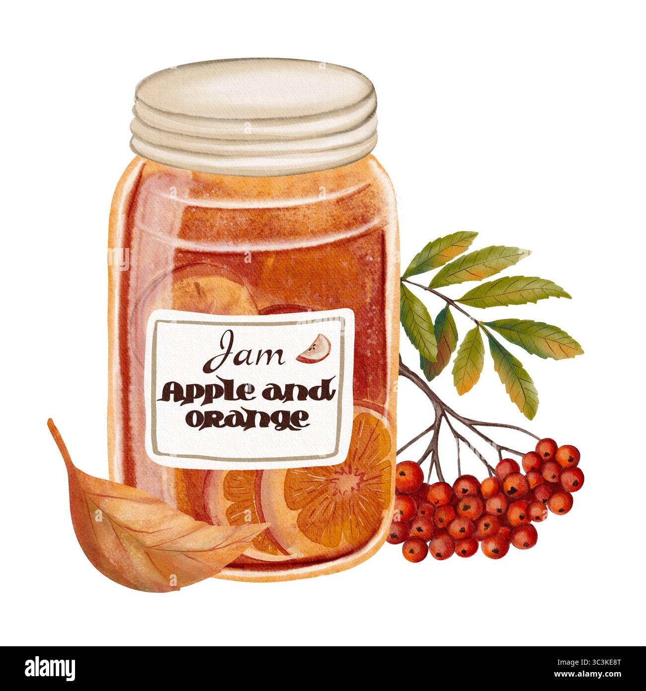 Kitchen jar illustration Cut Out Stock Images & Pictures - Alamy