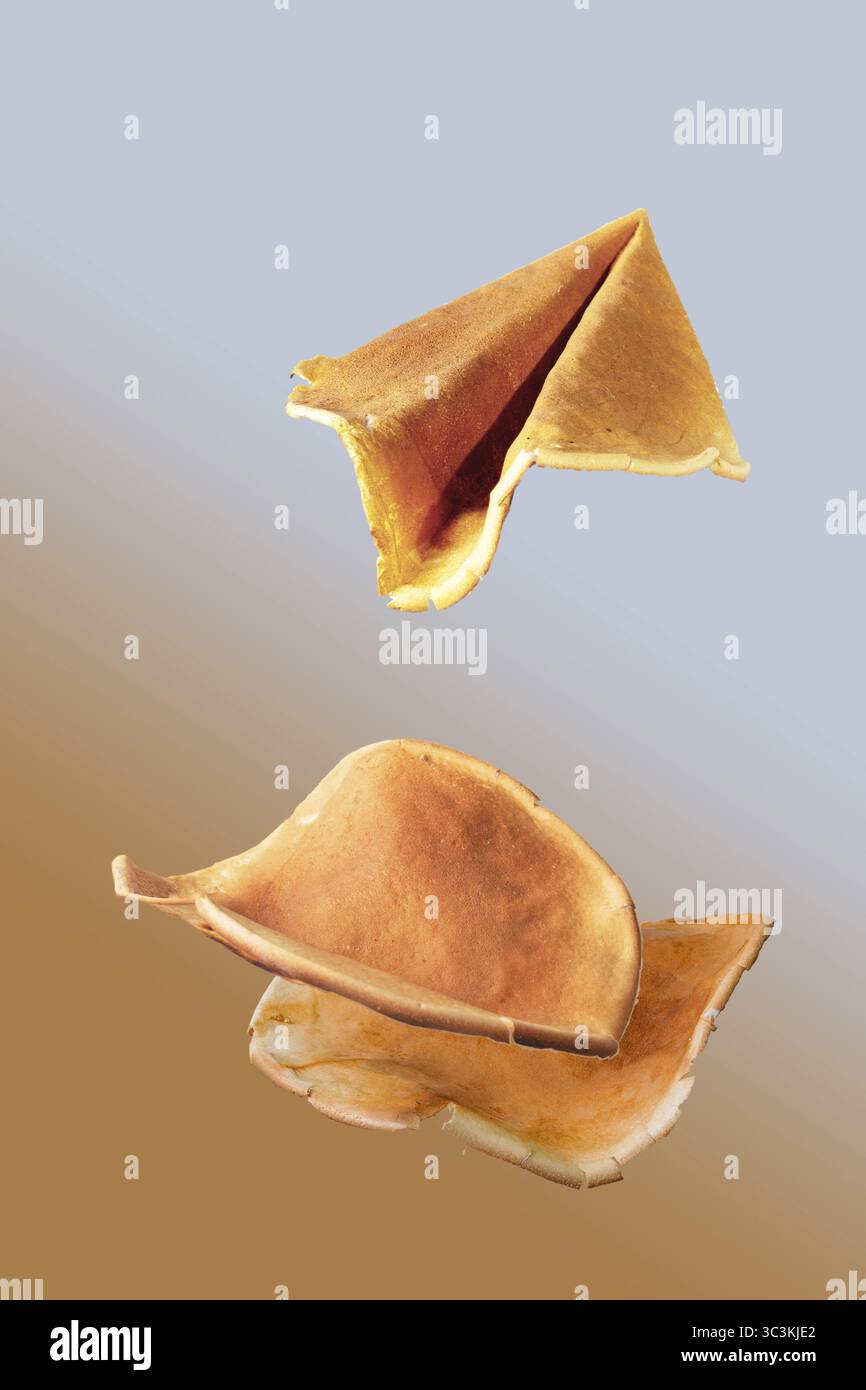 The flying pancake airplane hi-res stock photography and images - Alamy