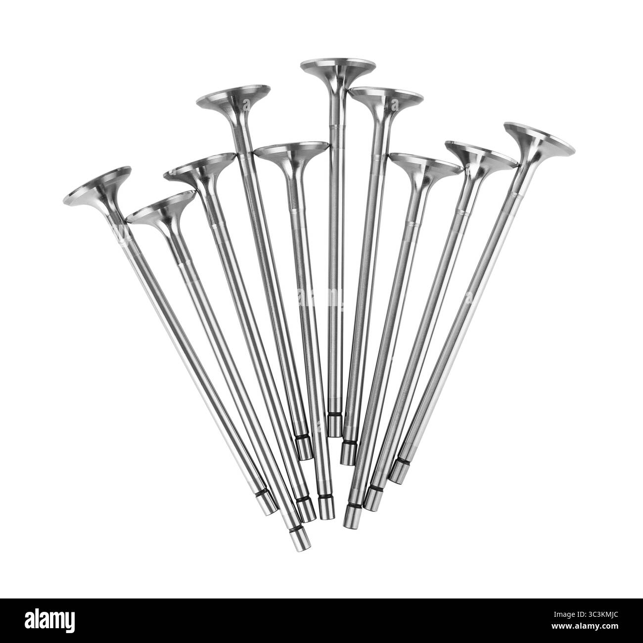 Engine Valves isolated on white background Stock Photo - Alamy