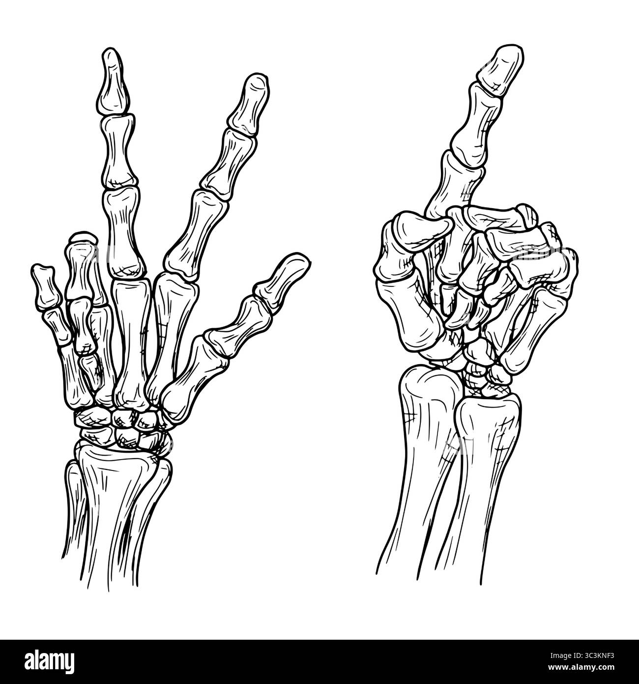 Skeleton's hand points with bony finger, set of silhouettes, black-and ...