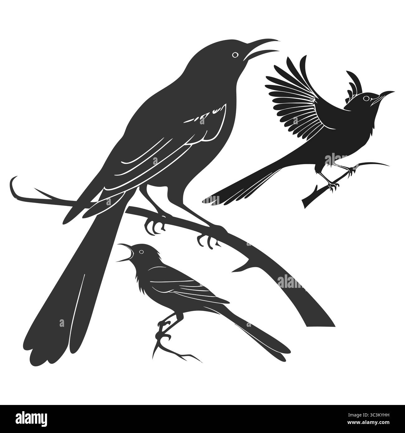 Feathered perching Stock Vector Images - Alamy