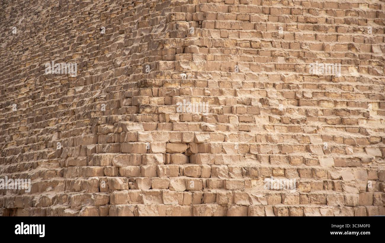 A pair of stray dogs seen on the steps of the Great Pyramid of Giza ...