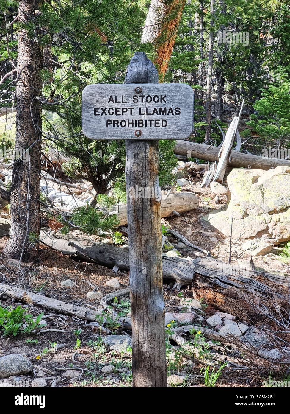 Wooden sign with text "All stock except llamas prohibited", in a forest ...