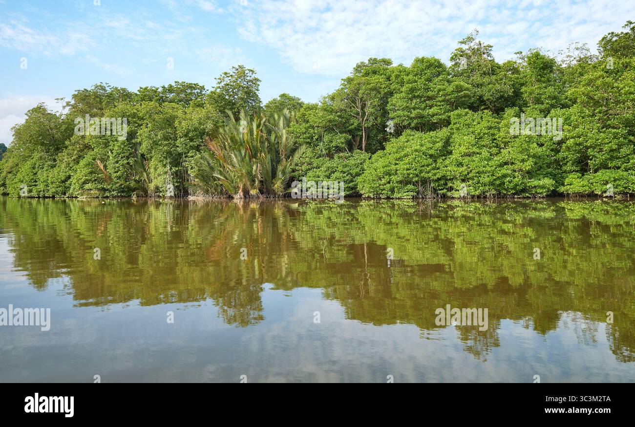 The bank of the Brunei River (Sungai Brunei) seen from the water ...