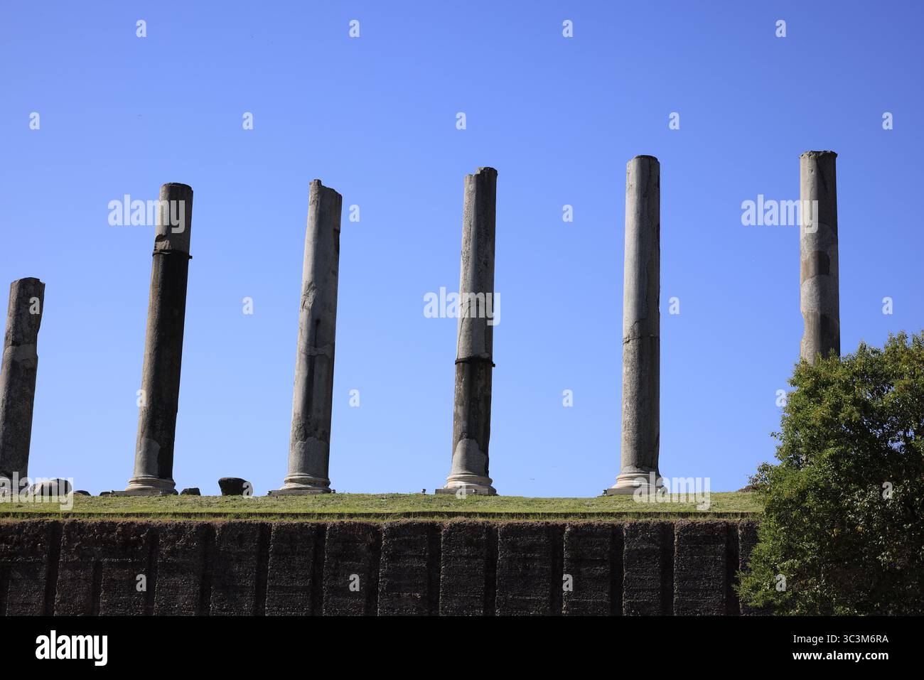 Ruins of ancient columns in the Roman Forum, Rome, Italy. A surviving ...