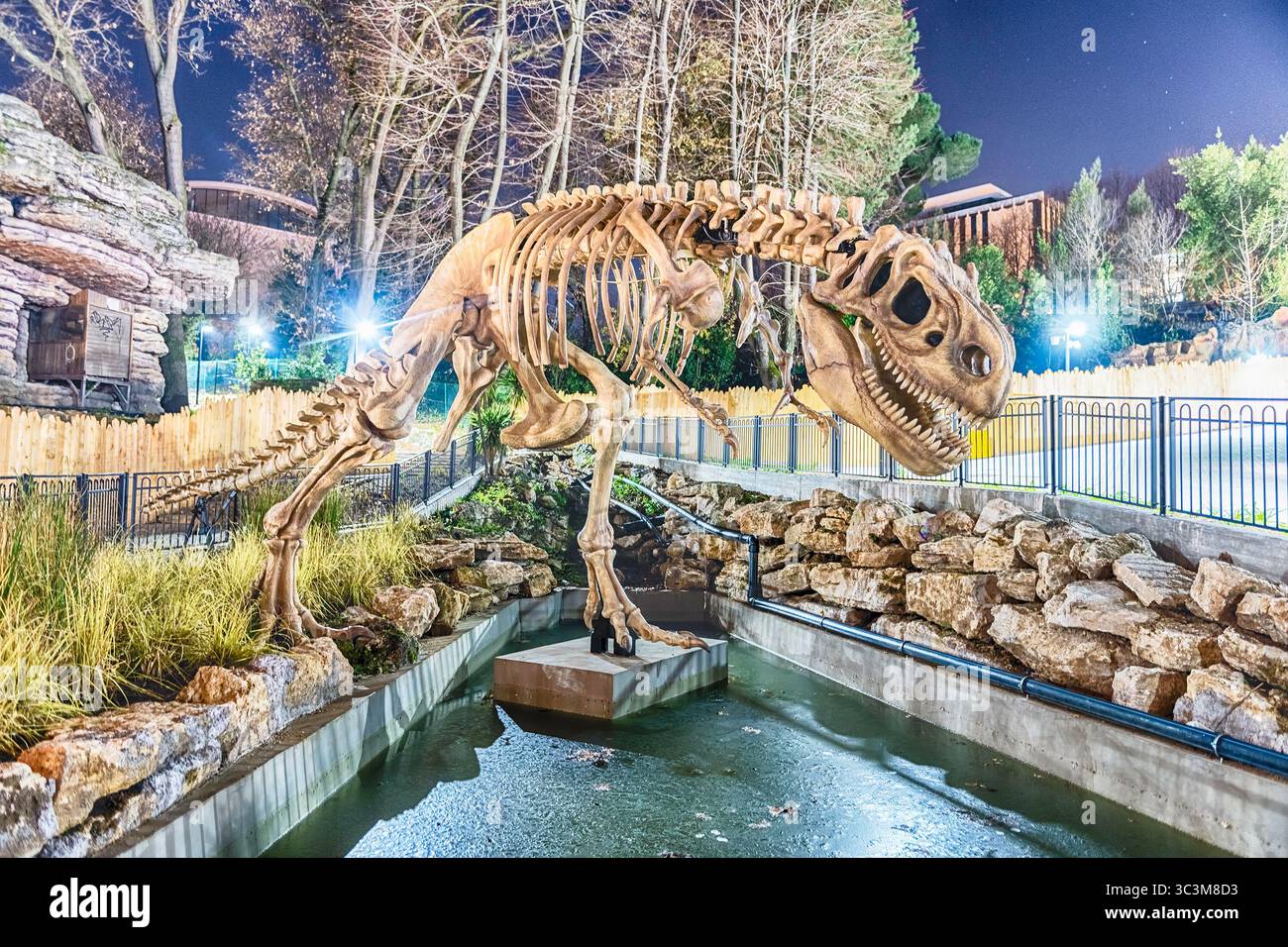 ROME - JANUARY 1: A dinosaur skeleton at night inside the Luneur ...